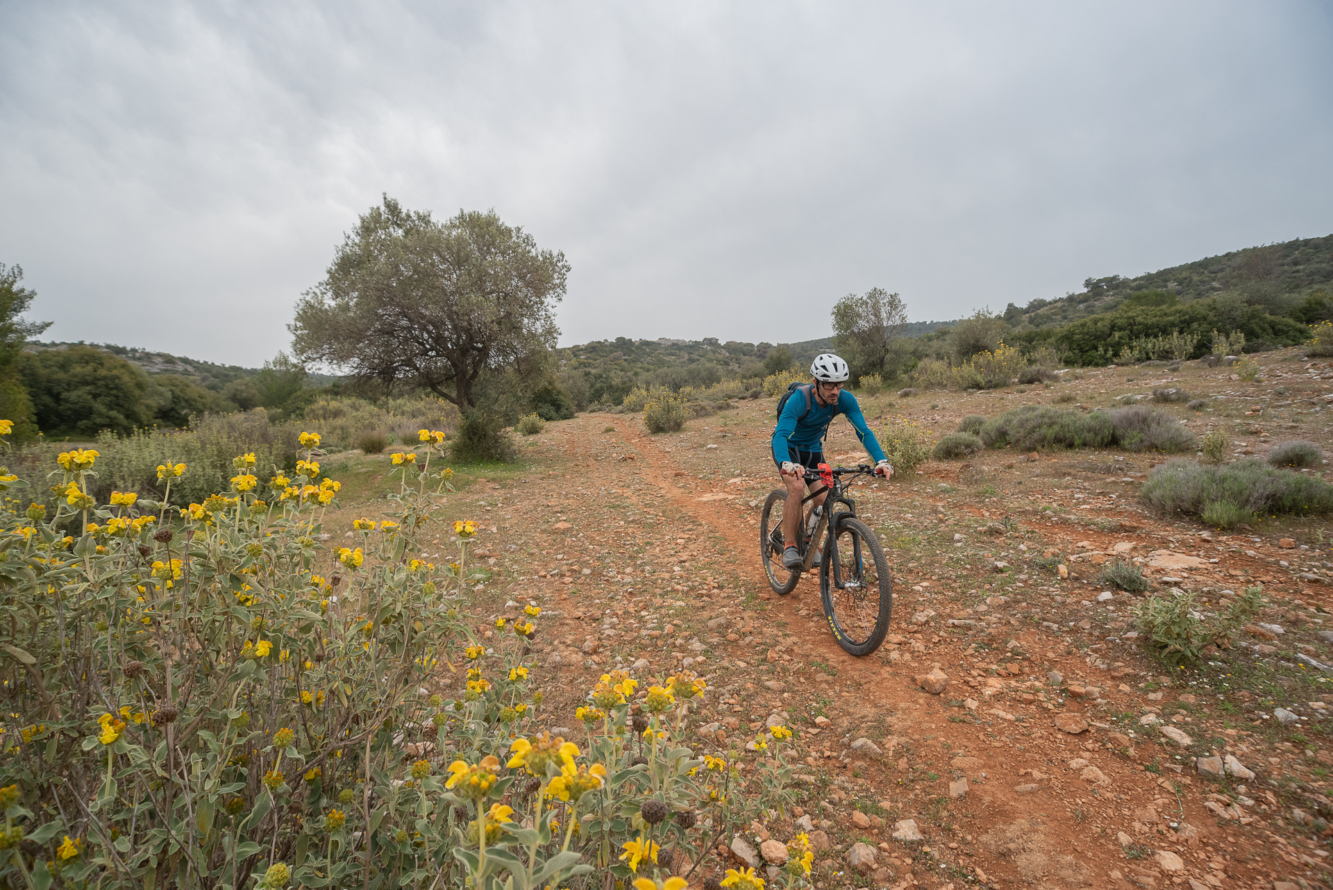 ΚΟΡΩΠΙ | Mtb-greece.gr